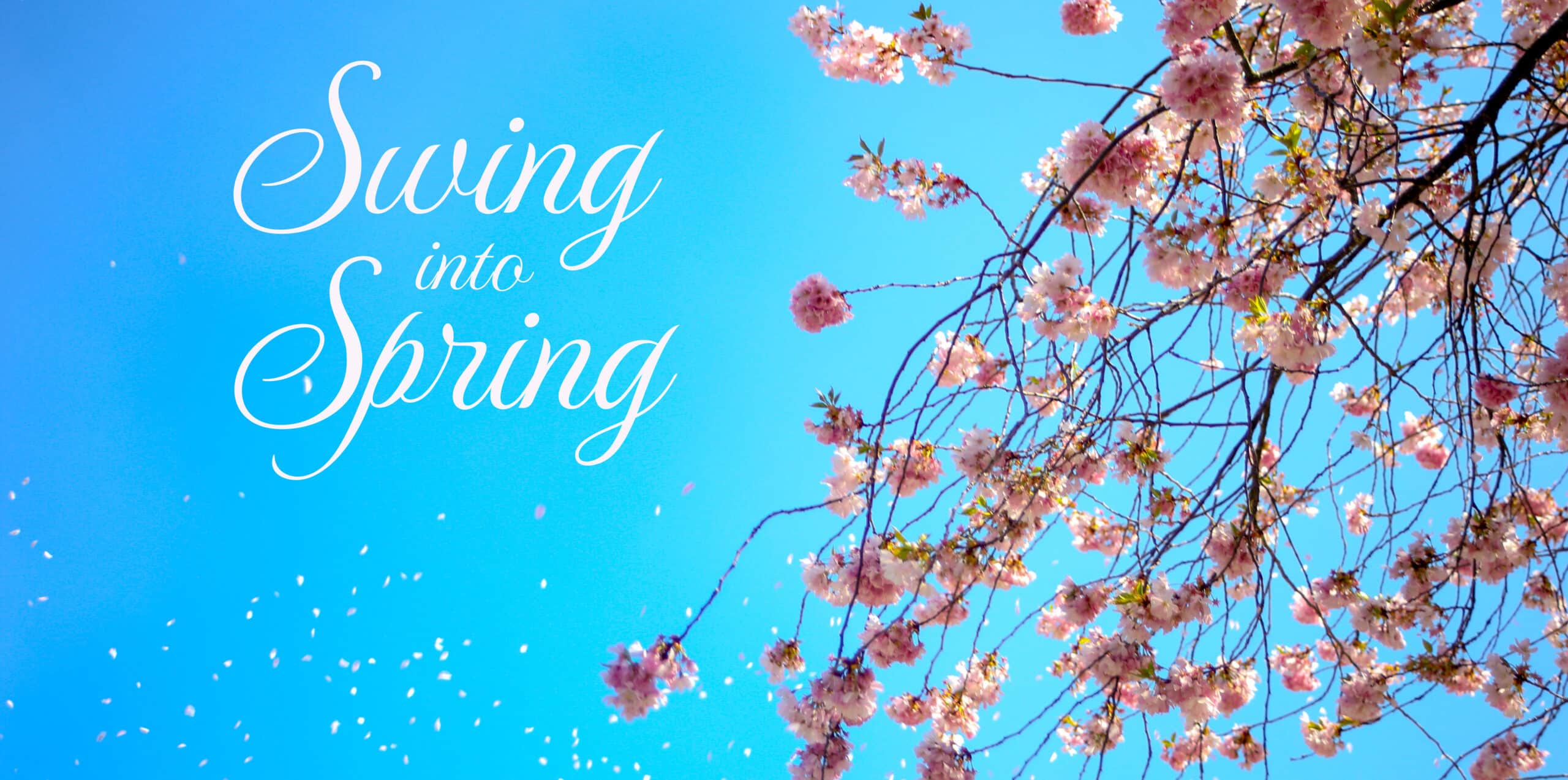 Fred Astaire Dance Studios Stone Oak - San Antonio Stone Oak